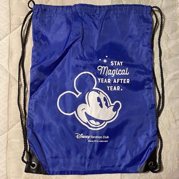 Disney | Bags | Disney Drawstring Bag And 2 Luggage Tags | Poshmark